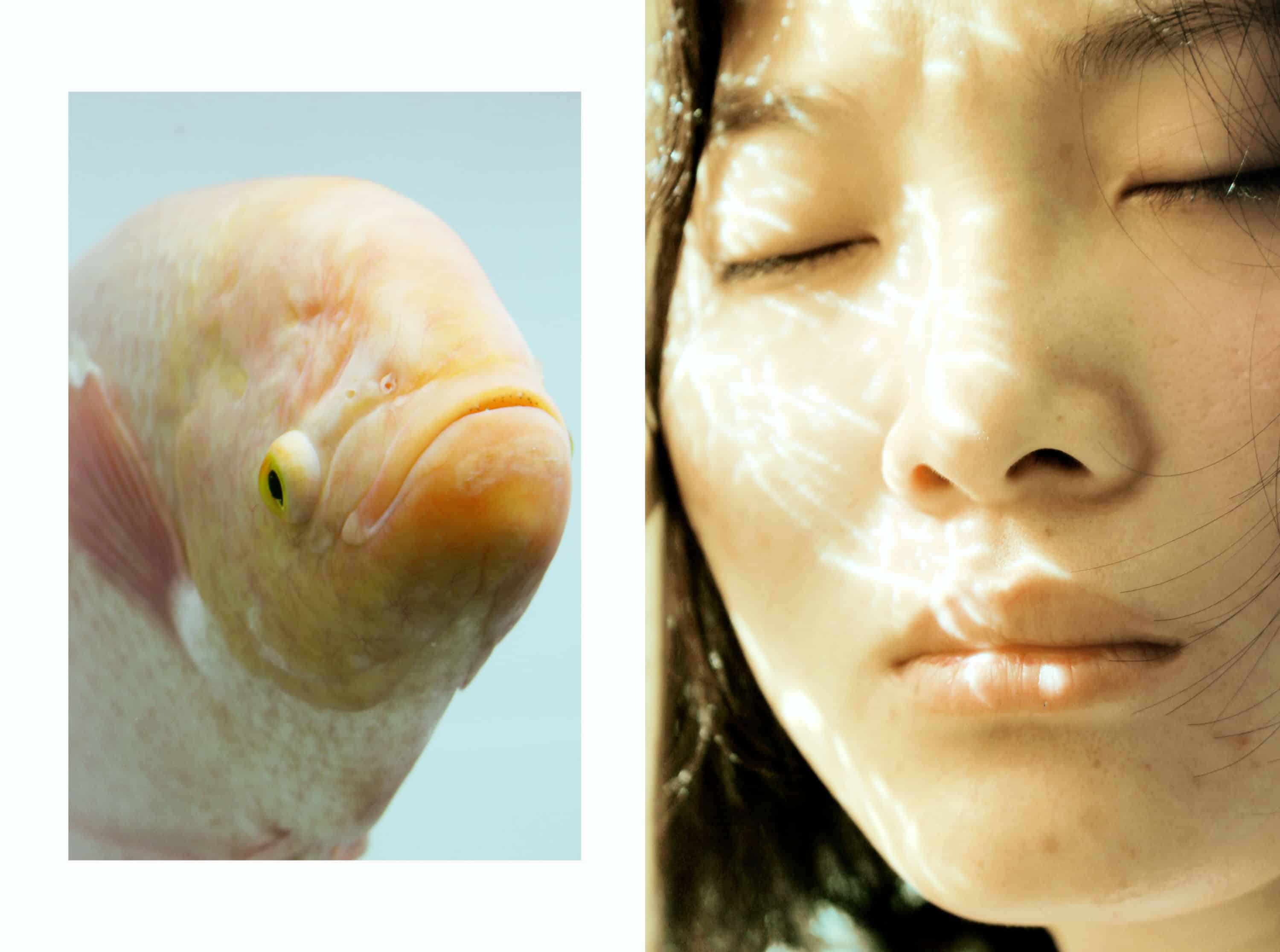 Create Visual Effects with Light | Photography Tips