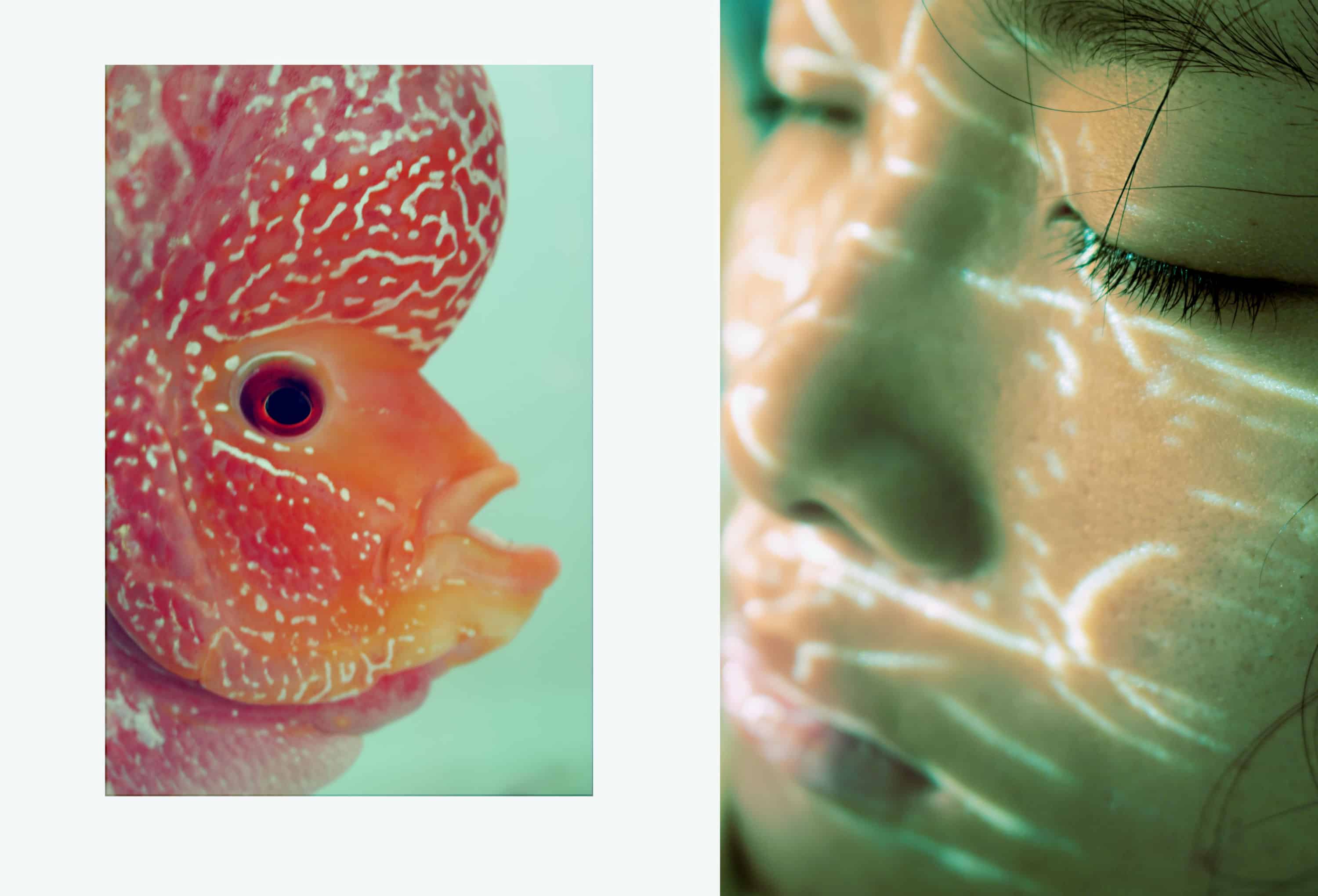 Create Visual Effects with Light | Photography Tips