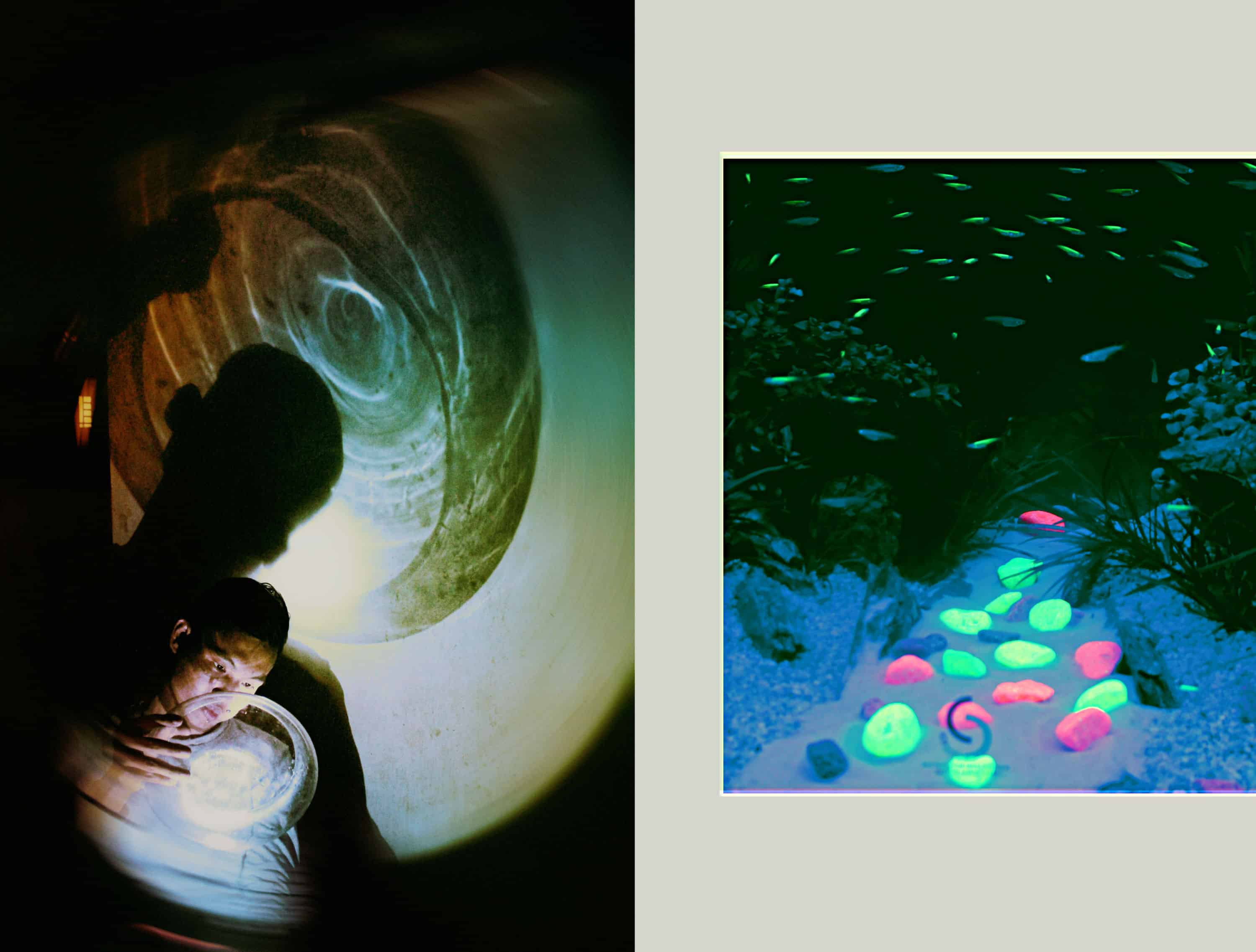 Create Visual Effects with Light | Photography Tips